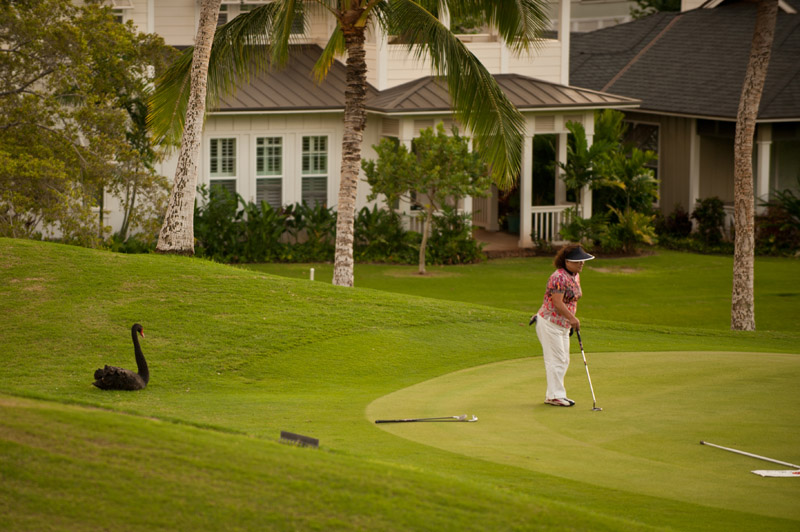 Live Webcam - Ko Olina Golf Club